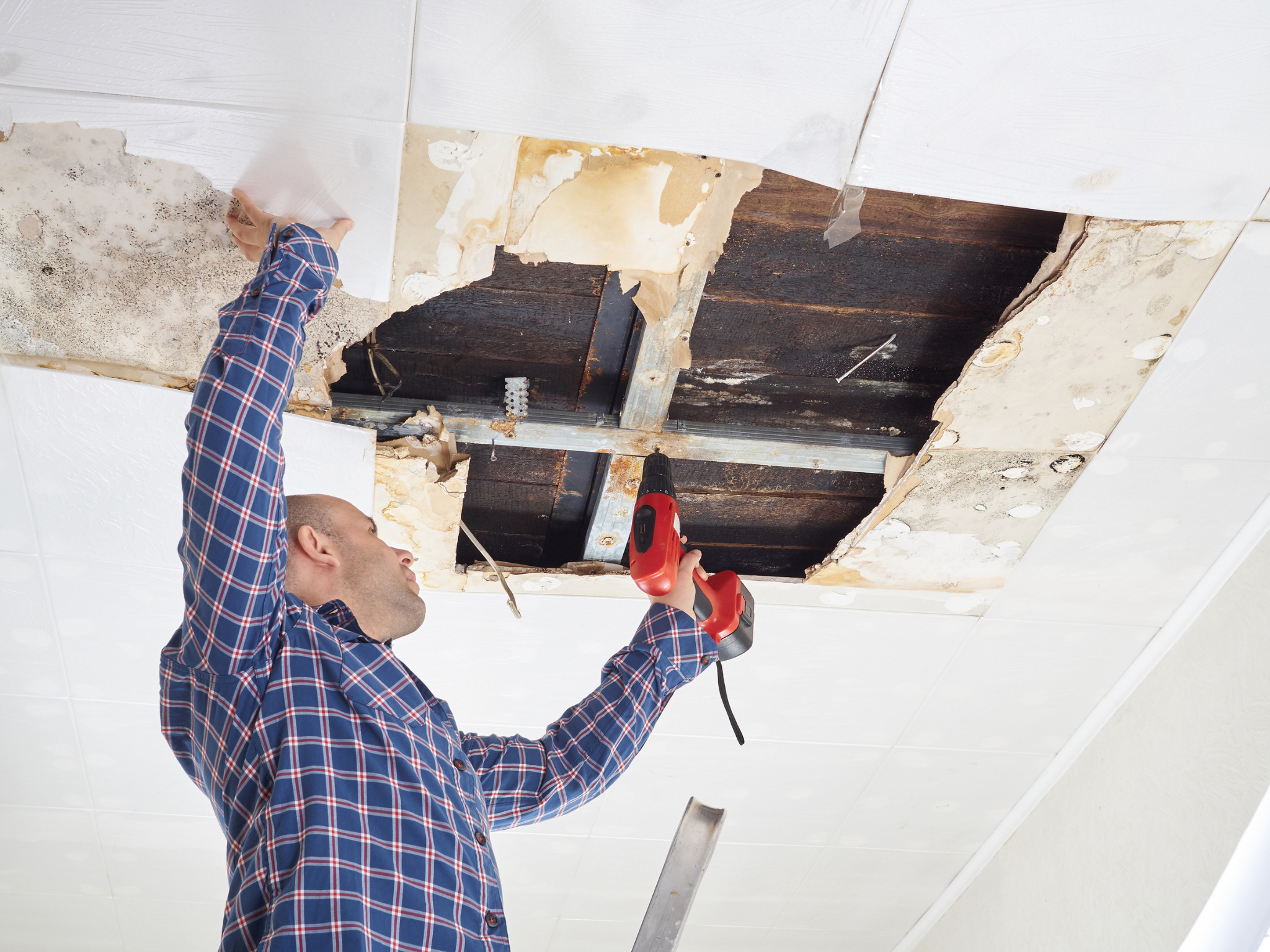 Water Mitigation Services | Fast & Reliable Solutions