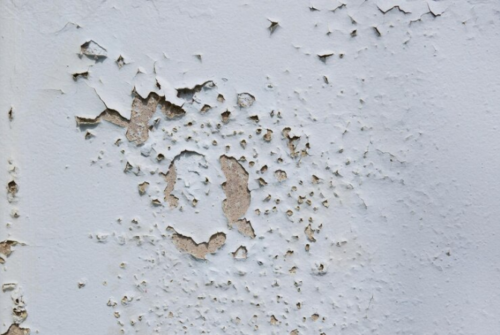 The Basics of Water Mitigation: What Homeowners Need to Know - Roman ...